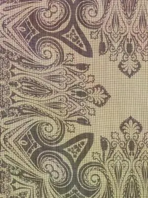 Etro Paisley-print Scarf