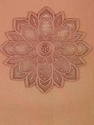 TWINSET Lace-appliqué Ribbed Top - Brown
