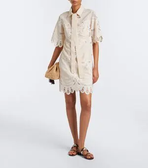 Elie Saab Embroidered Mini Dress