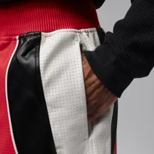 JORDAN Flight Cat Scratch Shorts