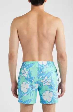 CHUBBIES The Baja Breezies 5.5 Classic Lined Swim Trunks