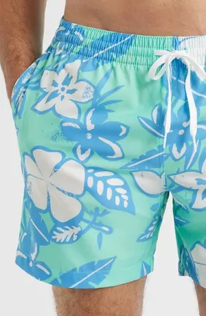 CHUBBIES The Baja Breezies 5.5 Classic Lined Swim Trunks