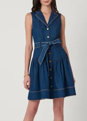 Shoshanna Embroidered Mae Dress - Denim