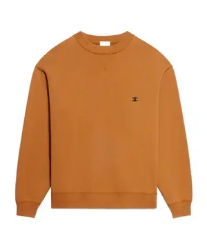 Celine Sweatshirt In Cotton Fleece - Brown