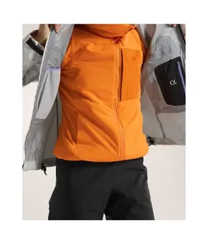 Arc'teryx Proton Hoody