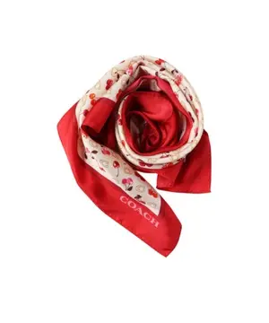 COACH Printed Silk Scarf