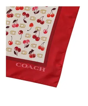 COACH Printed Silk Scarf