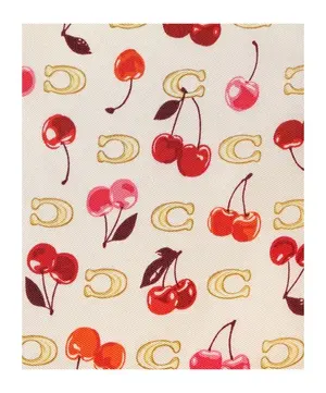 COACH Printed Silk Scarf