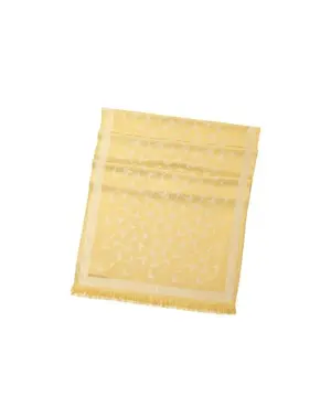 COACH Tassel Scarf