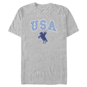 LOST GODS Usa Star Rodeo Short Sleeve Graphic T-shirt - Sport Grey