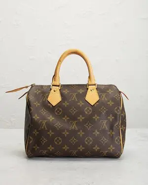 FWRD RENEW Louis Vuitton Monogram Speedy 25 Handbag