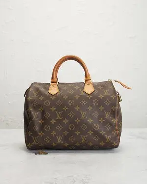 FWRD RENEW Louis Vuitton Monogram Speedy 30 Handbag - Brown
