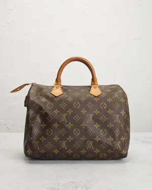 FWRD RENEW Louis Vuitton Monogram Speedy 30 Handbag