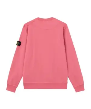 Stone Island Regular-fit Crewneck Sweatshirt With Raglan Sleeves