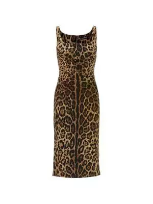 Dolce & Gabbana Leopard-print Midi Dress - Brown