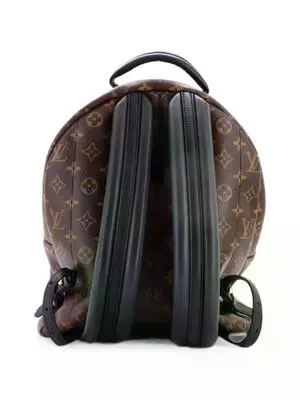 LOUIS VUITTON Palm Springs Monogram Canvas Mm Backpack