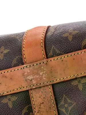 LOUIS VUITTON Monogram Canvas 50 Satchel Dog Carrier Bag - Brown
