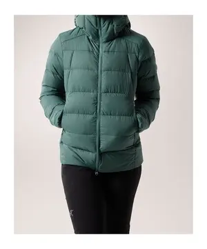 Arc'teryx Thorium Hooded Down Jacket