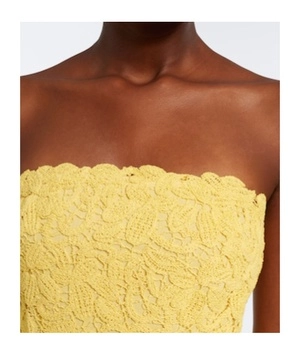 Simkhai Sera Lace Bustier Dress