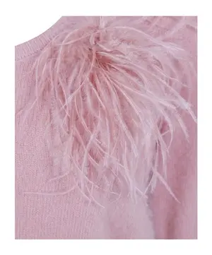 TWINSET Pullover With Detachable Feather Brooch