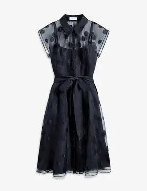 HOBBS LONDON Tess Sheer Polka Dot Shirt Dress