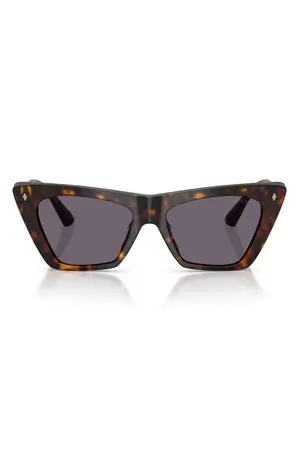 JIMMY CHOO 53mm Cat Eye Sunglasses - Havana/violet