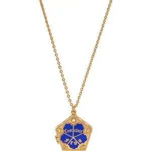 GIRLS CREW Harry Potter Chocolate Frog Locket Pendant Necklace - Gold