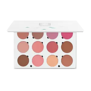 OFRA COSMETICS Pro Paletteblush