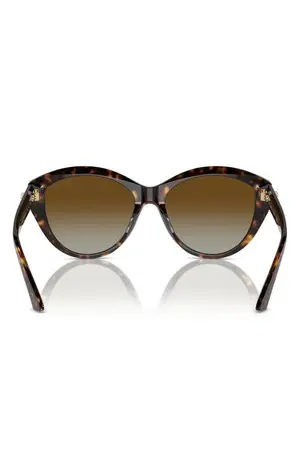 JIMMY CHOO Phantos Sunglasses