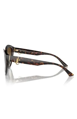 JIMMY CHOO Phantos Sunglasses