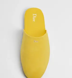 Dior Indior Mule