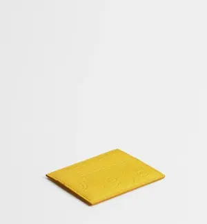 Dior Card Holder