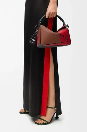 Loewe Small Lion Intarsia Puzzle Shoulder Bag