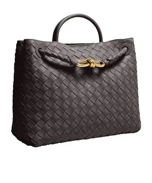 Bottega Veneta Andiamo Bag - Black