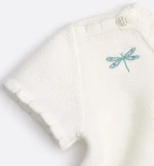 Dior A-line Dress With Embroidered Butterflies
