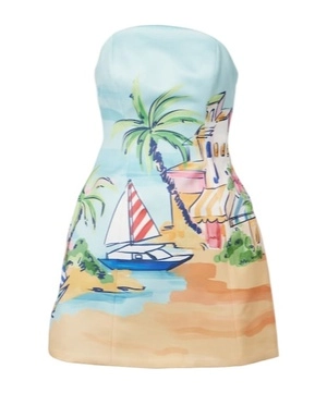LEO Printed Bustier Dress