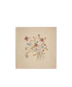 Loro Piana Il Bouquet Shawl - Nude