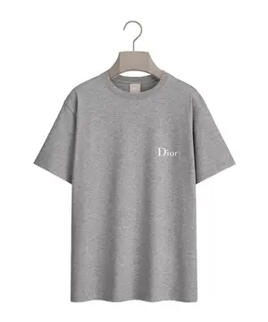 Dior T-shirt With Embroidery, Relaxed Fit - Gray
