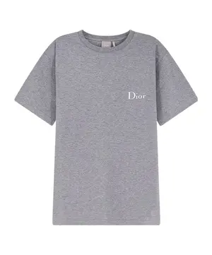 Dior T-shirt With Embroidery, Relaxed Fit - Grey