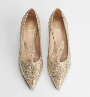 Dior Pointed-toe High Heels