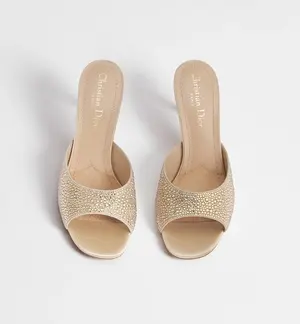 Dior Or Icon Heeled Slide