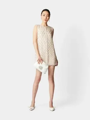 ROGER VIVIER Embellished Satin Mini Clutch