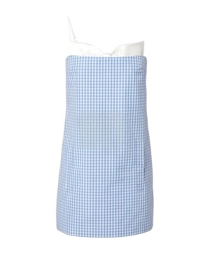 SHUSHU/TONG Gingham Cotton Minidress - Blue