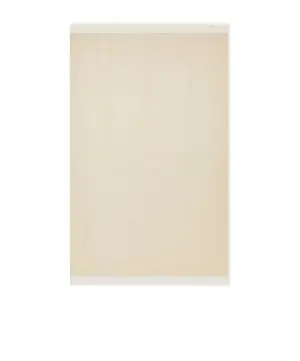 Loro Piana Fringed Scarf - Ivory