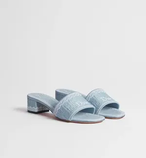Dior Dentelle Heeled Slide