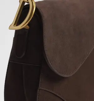 Dior Saddle Bag With Strap