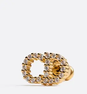 Dior Clair D Lune Earrings