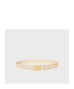 Celine Medium Triomphe Belt In Python