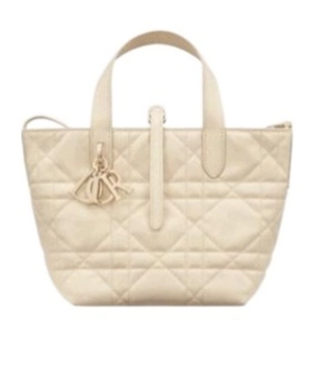 Dior Small Toujours Vertical Handbag