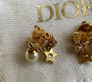 Dior Dioevolution Earrings